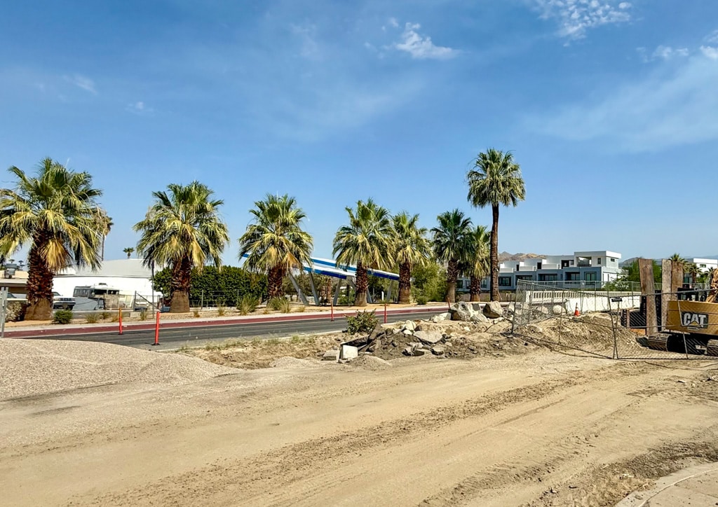 July 17 Daily Briefing: Palm tree preservation, art curator for PSP ...