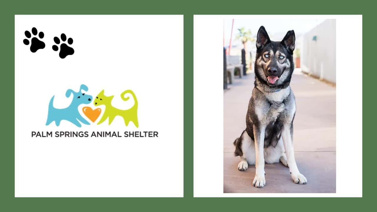 Jan. 6 Daily Briefing: Statue move, next steps for Serena Park project ...