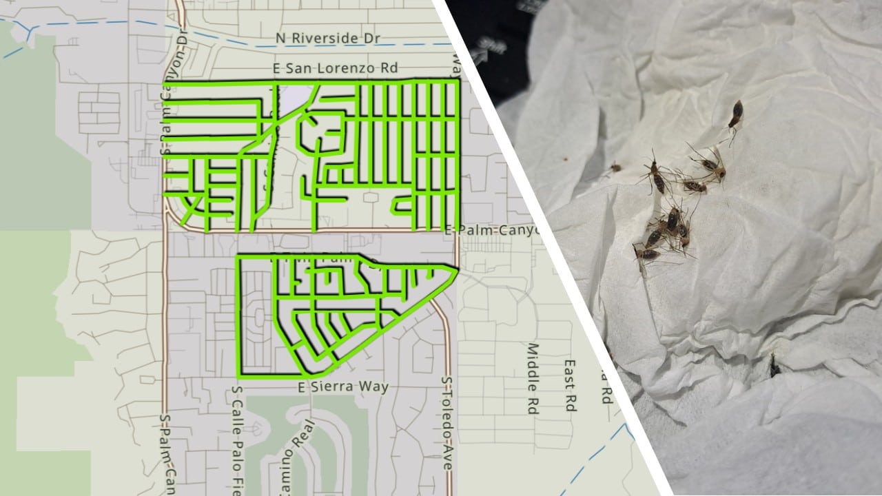 Mosquito control operations set to start following West Nile virus ...